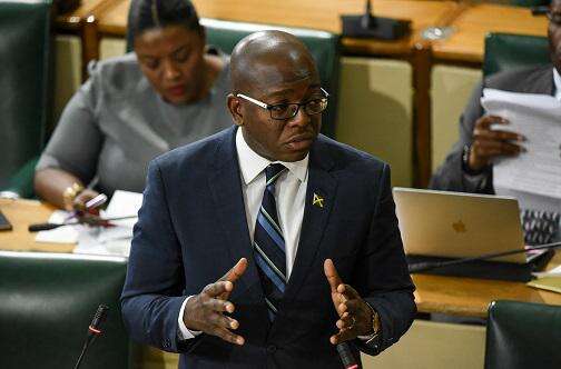 Charles Jr urges increased youth involvement in agriculture - Jamaica ...