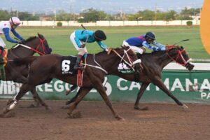 Silent Mission wins without blinkers, figure 8 - Jamaica Observer