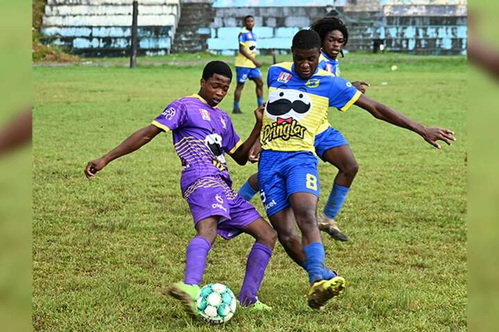 Paul Bogle hunt fourth win today - Jamaica Observer