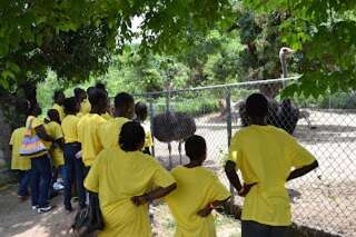 Hope Zoo brings ‘Angels of Hope’ to charities - Jamaica Observer