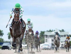 ATOMICA IN JAMAICA — ATOMICALLY IN FLORIDA - Jamaica Observer