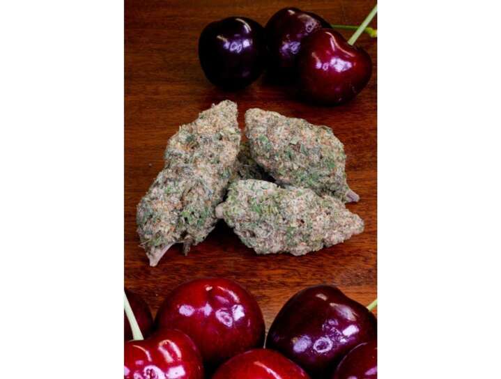 Itopia Life expands to Canada - Jamaica Observer