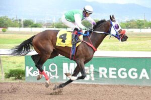 Sonny T And Chippy back to winning way - Jamaica Observer