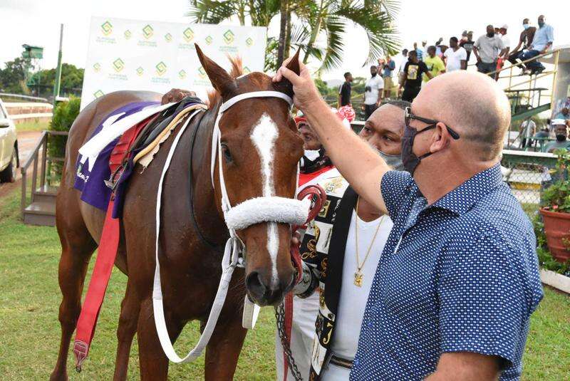 Horse of the Year Further and Beyond sidelined by injury - Jamaica Observer