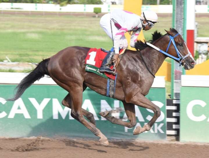 Positive ID the hero - Jamaica Observer