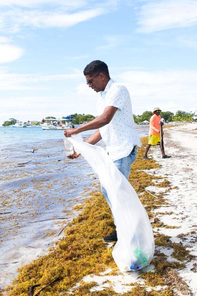 Sargassum seaweed could affect tourism in Negril, says hotelier ...