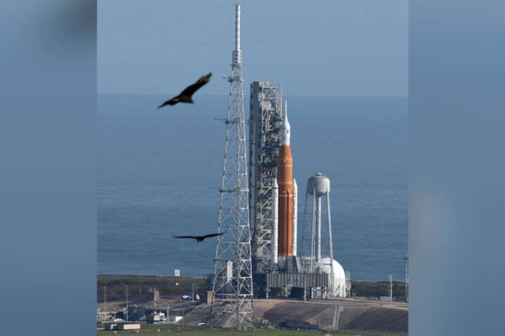 NASA sticks to plan to launch moon rocket today - Jamaica Observer