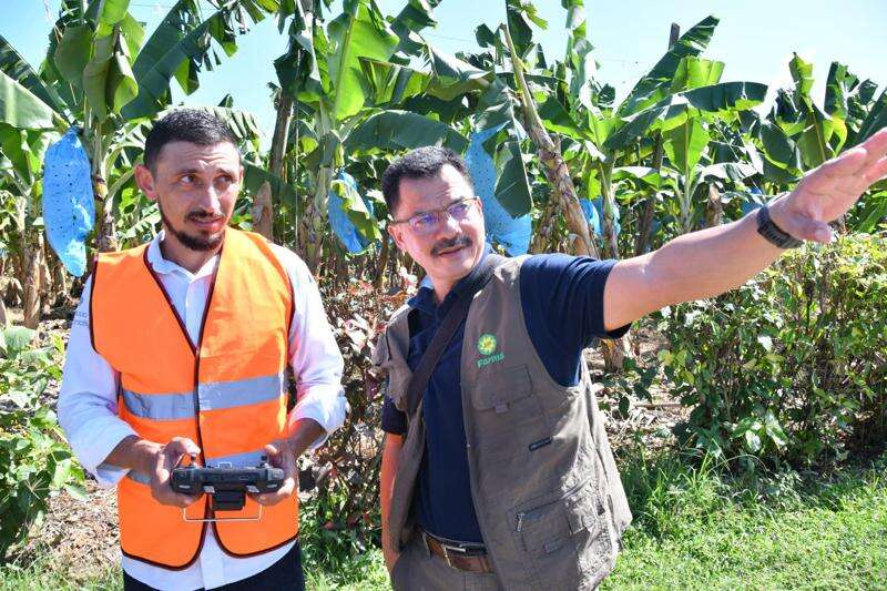 JP Farms unlocks drone technology - Jamaica Observer