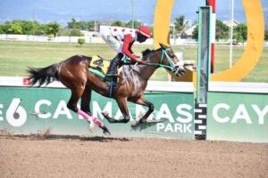 Is That A Fact makes promising debut - Jamaica Observer