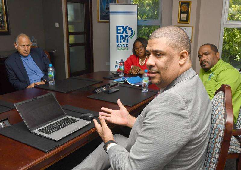 EXIM bemoans slow take-up of loans - Jamaica Observer