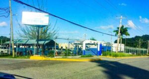 Patterson not charged in 'Slickianna' case - Jamaica Observer