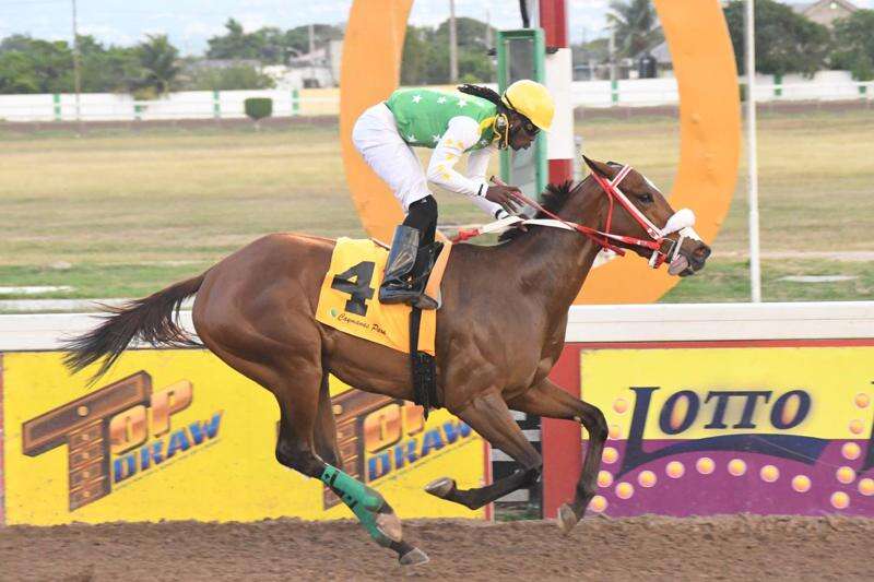 Luksol brushes aside rivals in BetMakers Holiday Bonanza Trophy ...