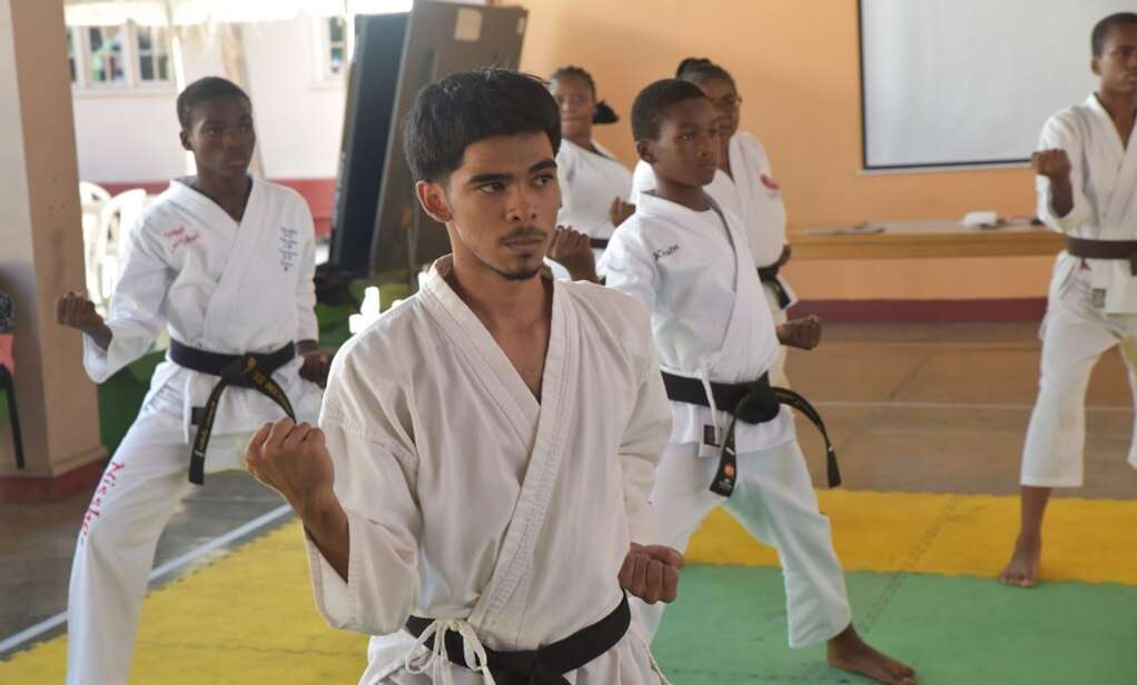 Jamaican karate body hosts high-performance seminar, aims to produce ...