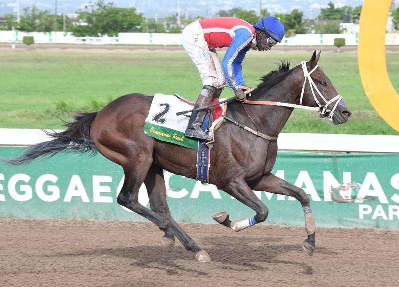 Mouttet Mile winner Excessive Force hunts Ian Levy Cup - Jamaica Observer