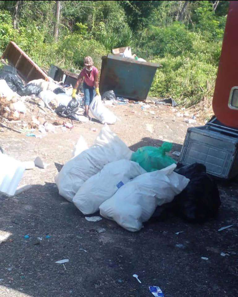 Poor containerisation affecting Manchester garbage collection - Jamaica ...