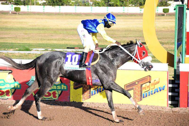 Superb Mojito sweeps to victory in feature race - Jamaica Observer