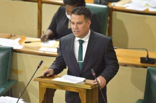 Senator Samuda defends Govt's use of mandatory minimum sentences to ...
