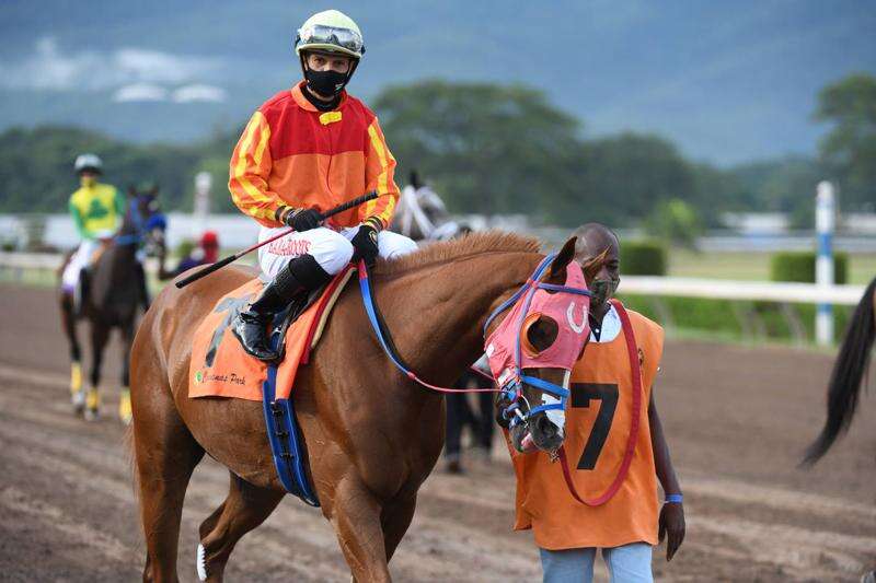 Billy Whizz, Positve ID headline Williams Memorial feature - Jamaica ...