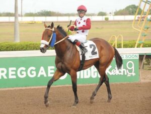 Eagle One fancied for George HoSang feature - Jamaica Observer