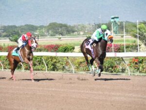 Racing News – Sunday, January 22, 2023 - Jamaica Observer