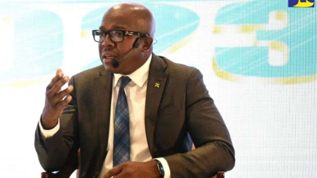 More young women showing interest in farming, says Charles Jr - Jamaica Observer