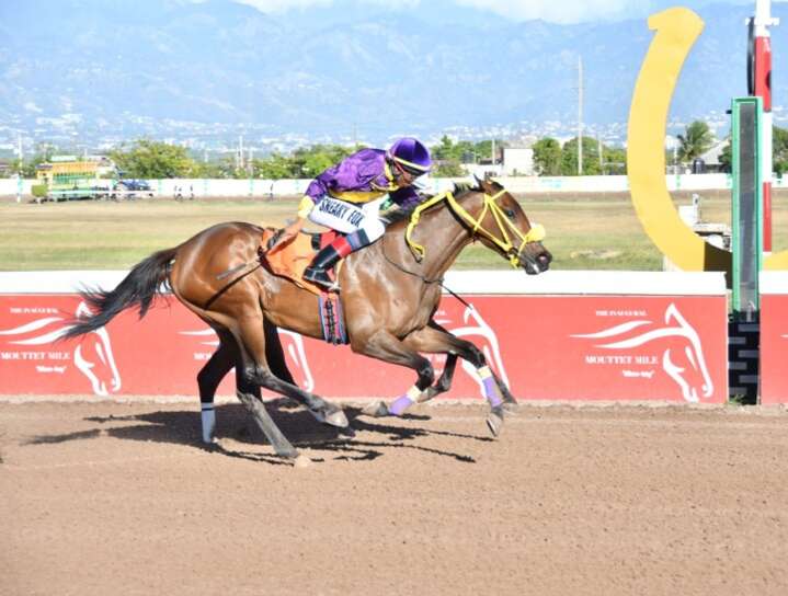 Race Day Review — Saturday, January 28, 2023 - Jamaica Observer