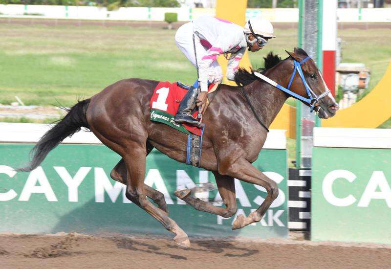 Billy Whizz, Positve ID headline Williams Memorial feature - Jamaica ...