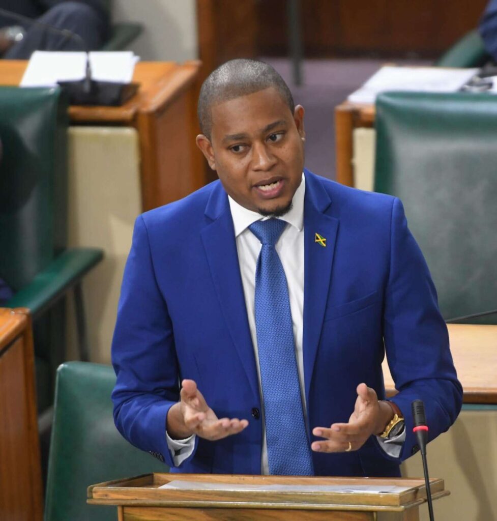 NIDS draft regulations tabled in Parliament - Jamaica Observer