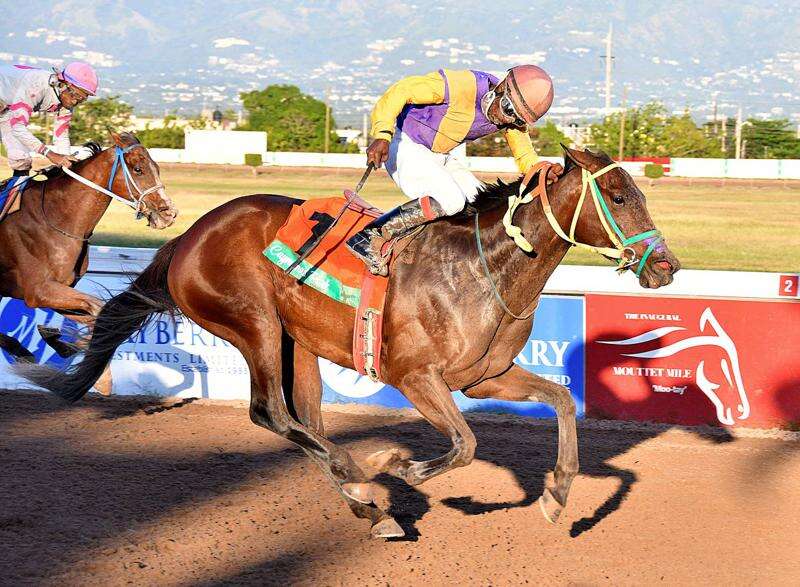 Sweet Majesty upsets rivals in Allan E 'Billy' Williams feature ...