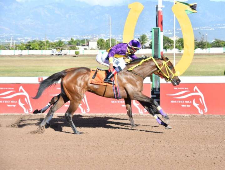 Respect due - Jamaica Observer