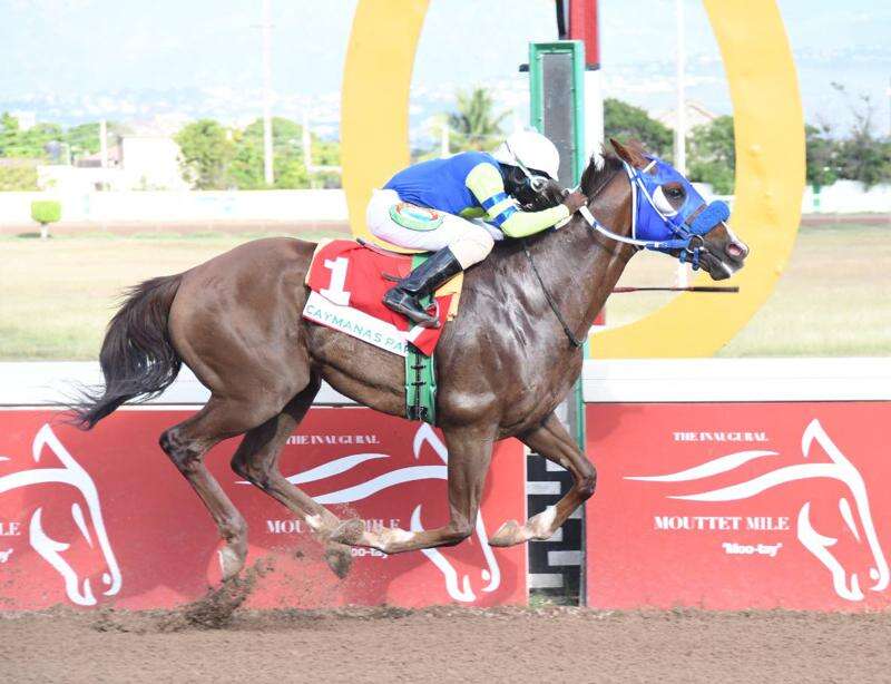 Mahogany makes light work of rivals in Eileen Cliggott Mem run ...
