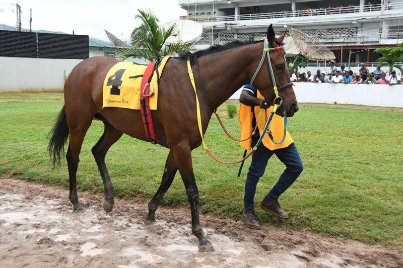 Overnight Allowance a tussle between foreigners The Good Witch and ...