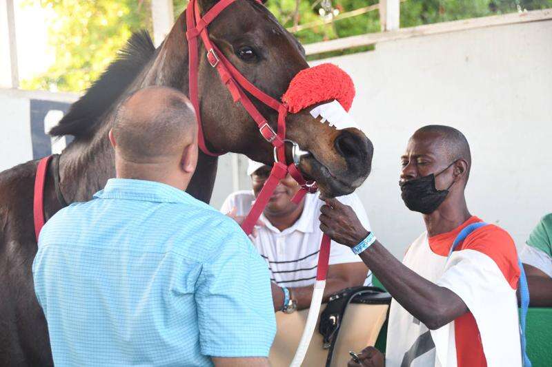 Wide Open Overnight Allowance Sprint - Jamaica Observer