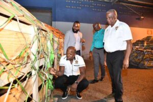 Superior goats imported to bolster local breeds - Jamaica Observer
