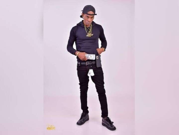 K9ngston K9ng on path with Navigator - Jamaica Observer