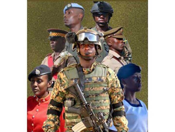 The evolving role of the JDF in charting development - Jamaica Observer