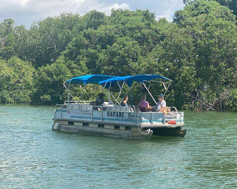 Black River's rebirth - Jamaica Observer