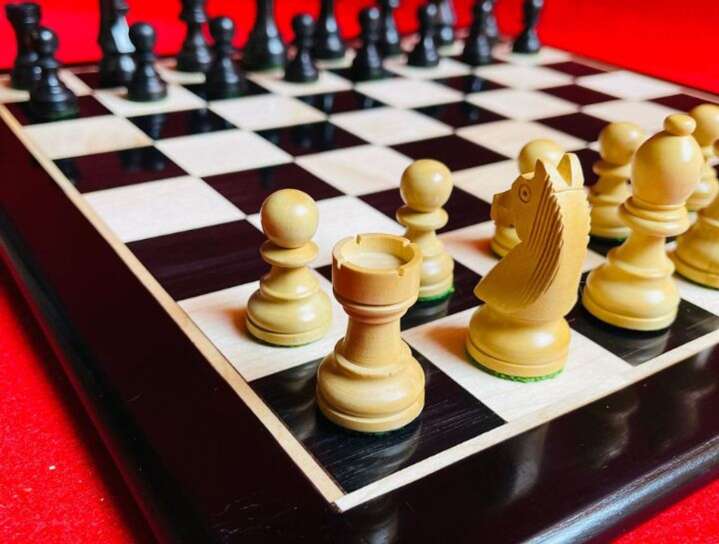 Chess success - Jamaica Observer