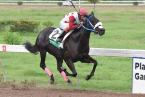 Madelyn's Sunshine for Millard Ziadie Memorial Cup - Jamaica Observer