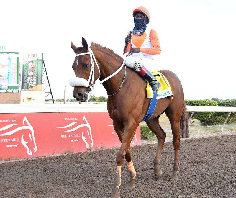 Durocell signals Classic aspirations - Jamaica Observer