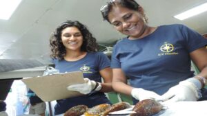 New deep-sea worm named after Trinidad & Tobago scientist - Jamaica ...