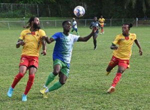 Duckie stays - Jamaica Observer