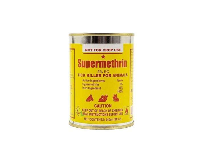 Ticks nuisance! - Jamaica Observer