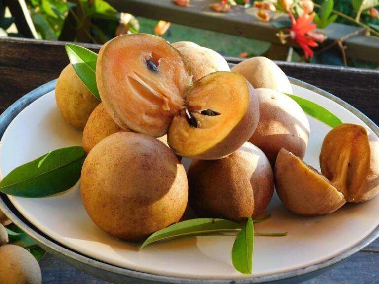 The Unassuming Exotic - Jamaica Observer