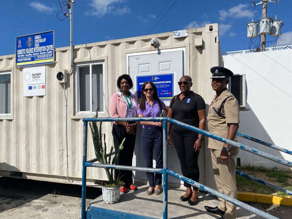 WATCH: Domestic violence centres 'a blessing in disguise', says DSP ...