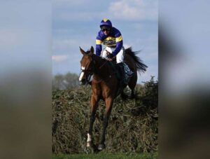 Scottish raider Corach Rambler outfoxes rivals to win Grand National ...