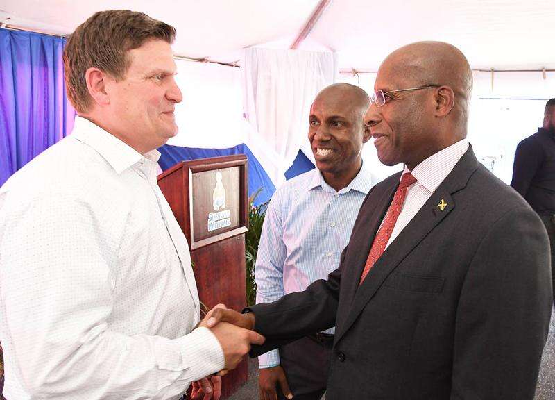 Sherwin-Williams colours growth - Jamaica Observer