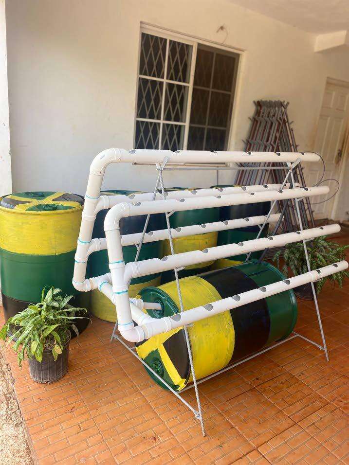 Hydroponics for resilient farming - Jamaica Observer