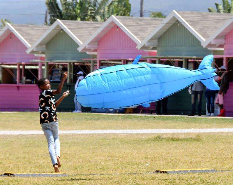 Mother of all kite festivals - Jamaica Observer
