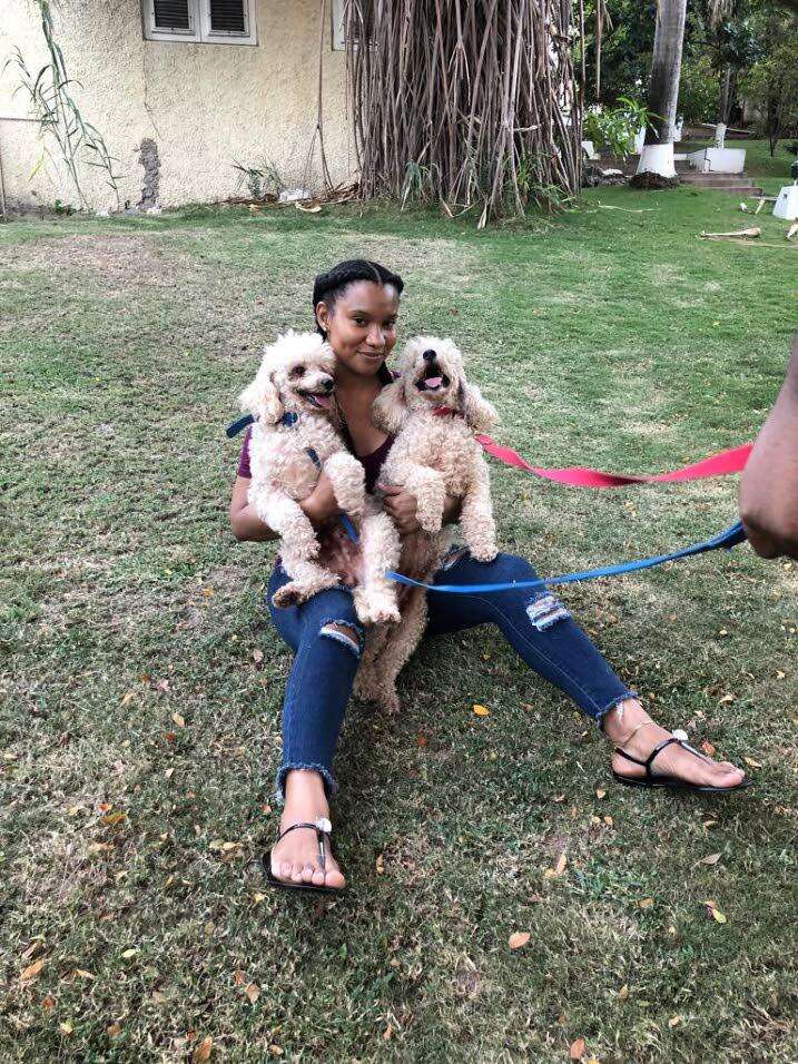 Costly pets - Jamaica Observer